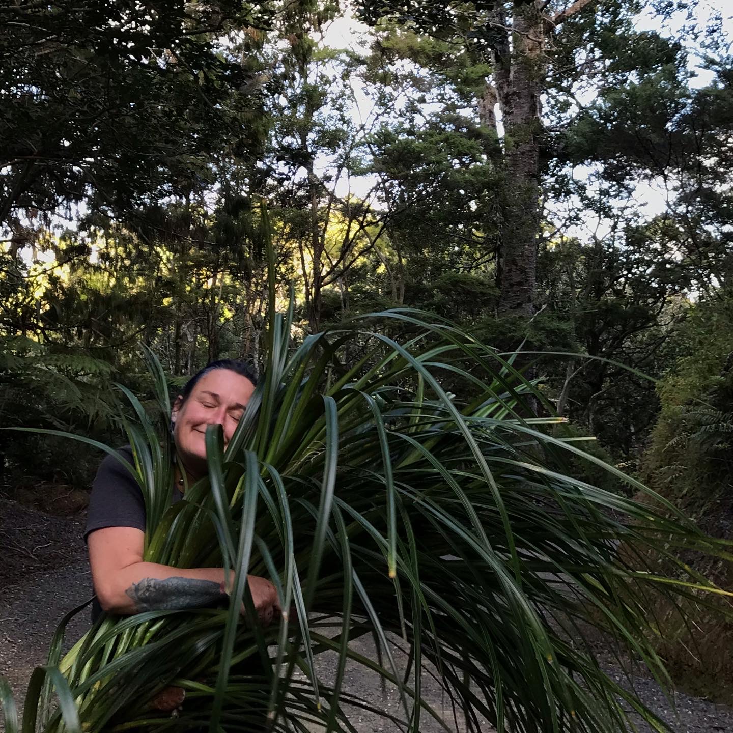 Alicia Courtney - Hihiaua Cultural Centre Trust